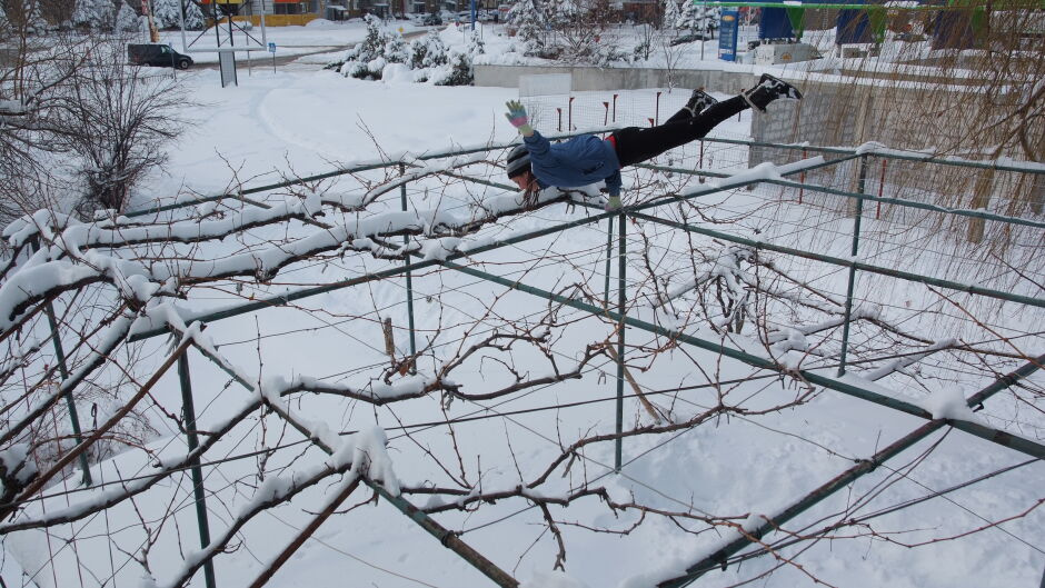 Rumiana Rumenova Ruseva - bTV Media Group - bTV