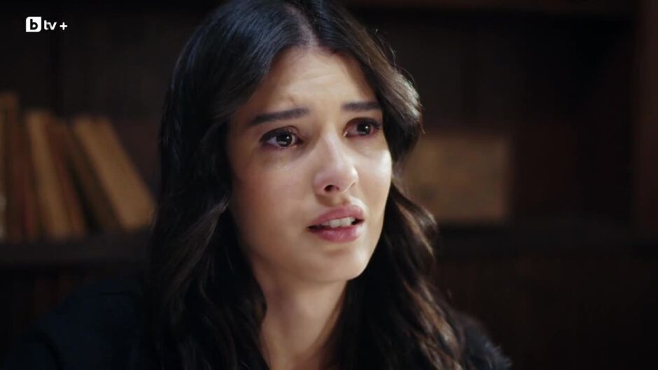 Видео - bTV Media Group - bTV