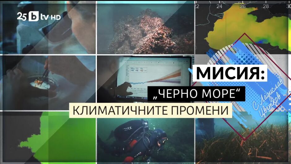 Новини - bTV Media Group - bTV